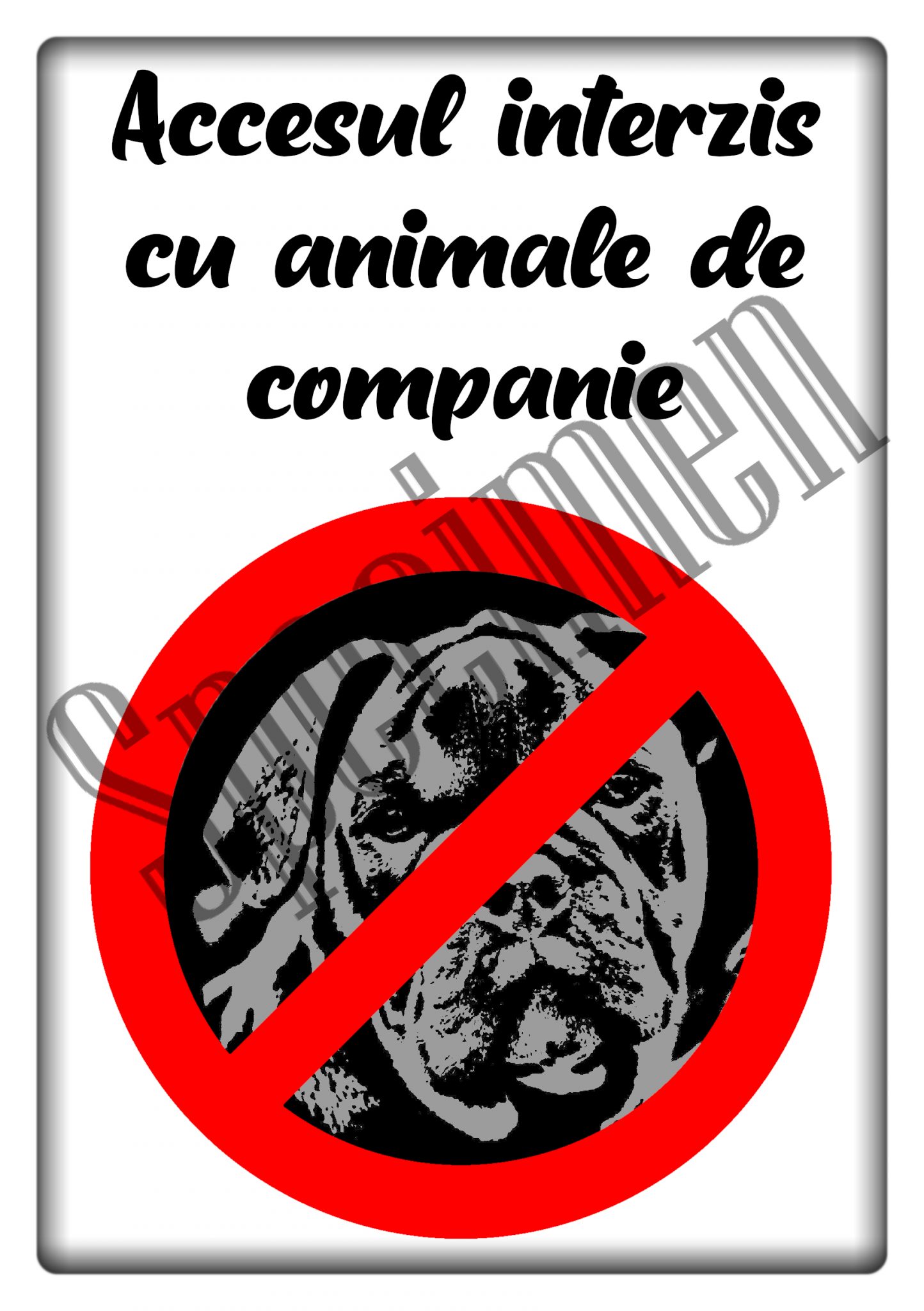 Tablouri canvas personalizate - GGMAG.RO